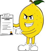 Insurance ScreenLemon Insurance ScreenLemon